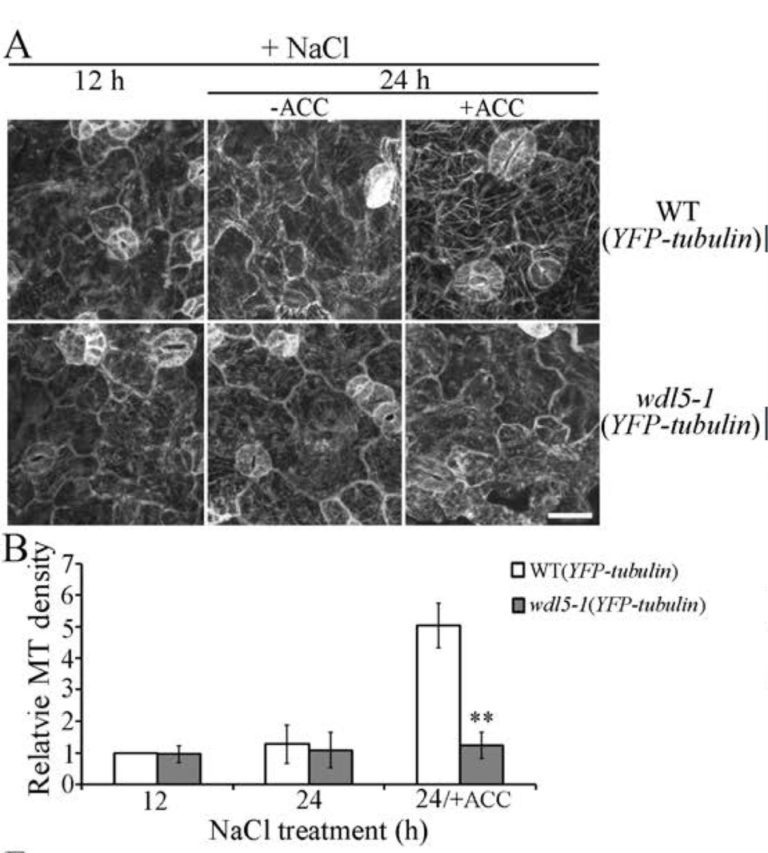 What We’re Reading: February 23rd | Plantae