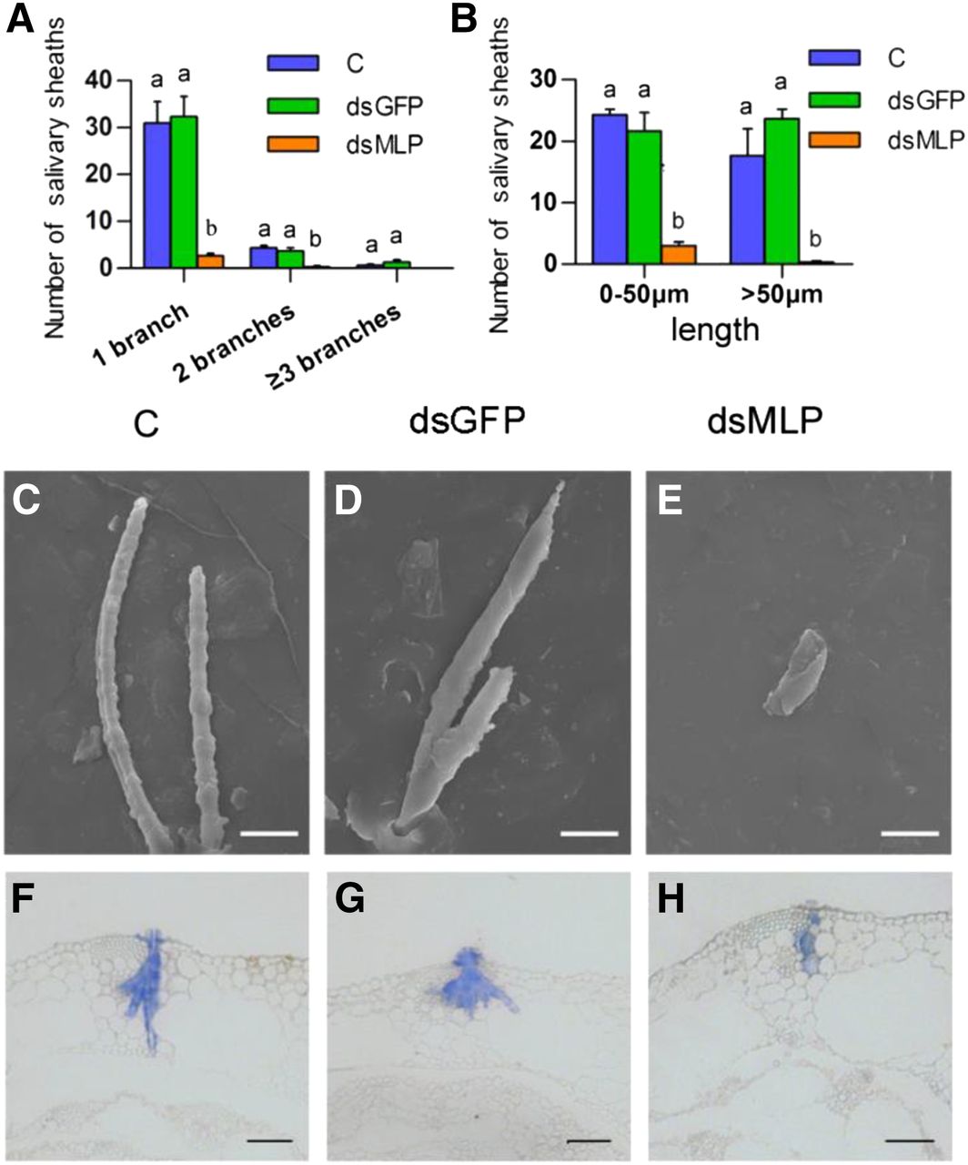 A mucin-like protein of planthopper is required for feeding and induces ...