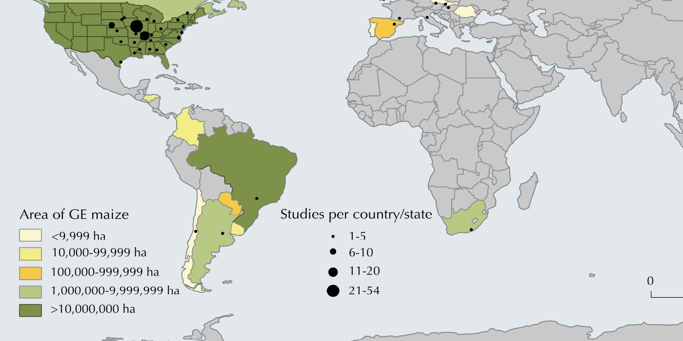Impact of genetically engineered maize on agronomic, environmental and ...
