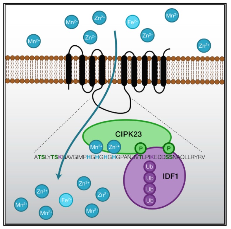 What We’re Reading: March 23rd | Plantae