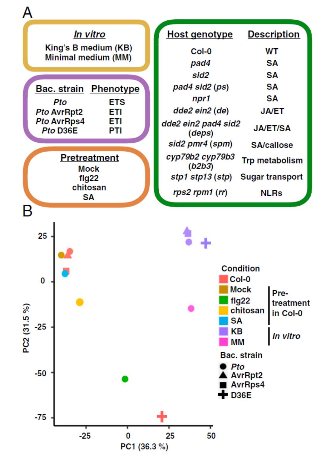 Transcriptome landscape of a bacterial pathogen under plant immunity ...