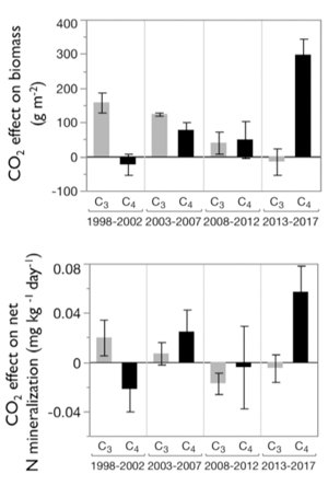 Unexpected reversal of C3 versus C4 grass response to elevated carbon ...