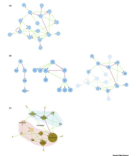 Plantae | Review: The spring of systems biology-driven breeding ...