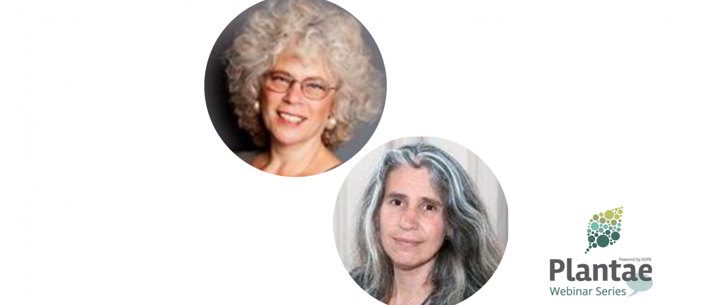 Data Management 101: Tips for making your published data more Findable ...