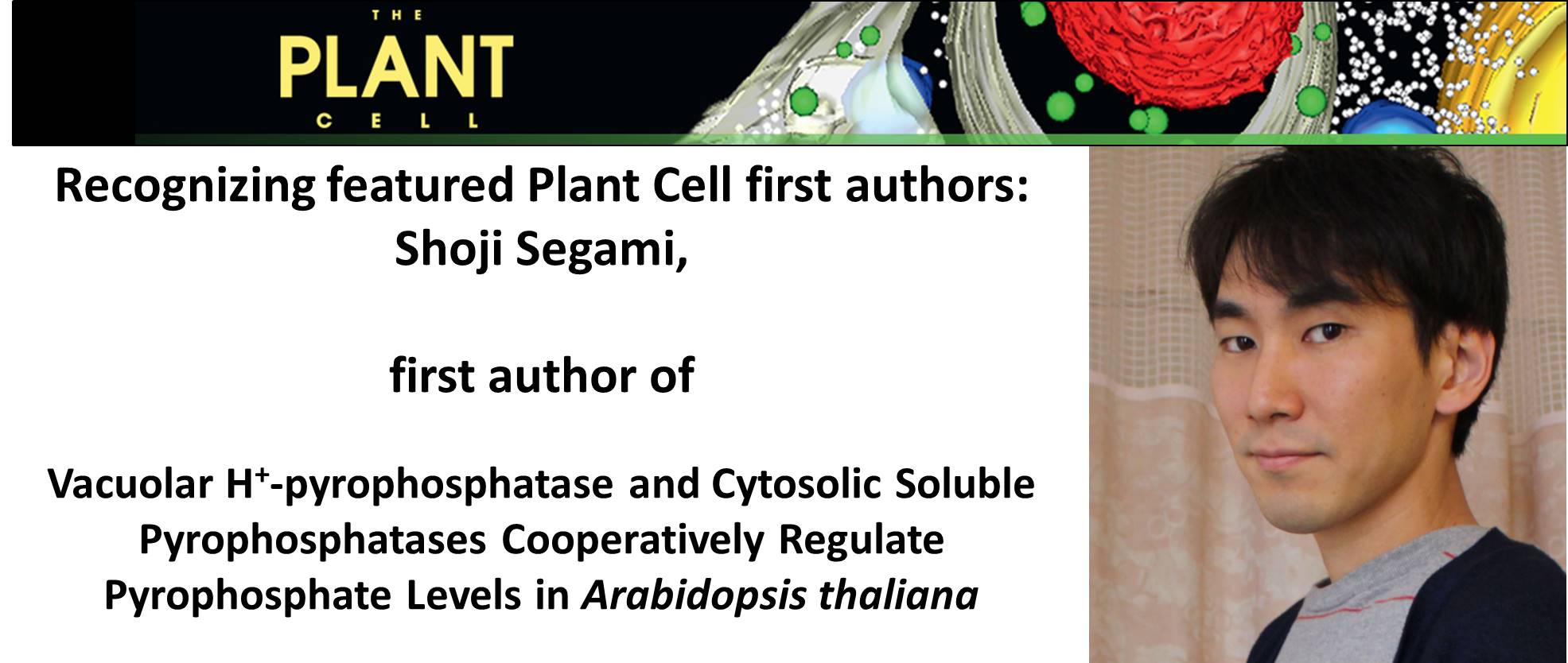 Recognizing featured Plant Cell first authors: Shoji Segami | Plantae