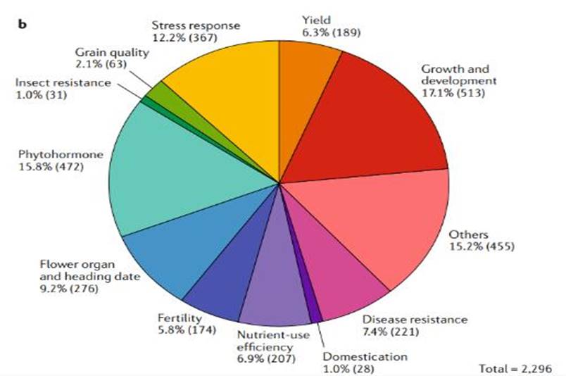 Review: The rice genome revolution: from an ancient grain to Green ...