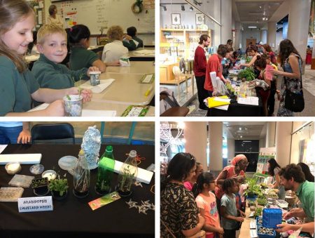 Plants4Kids: By Anna N. Stepanova, North Carolina State University ...