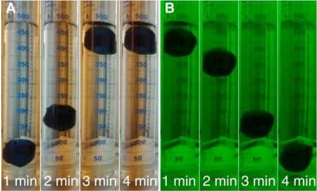Photosynthesis and circadian rhythms regulate the buoyancy of marimo ...