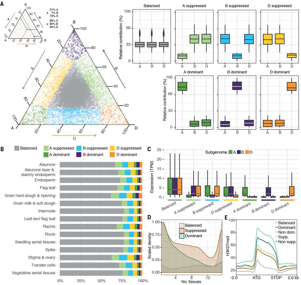 The transcriptional landscape of polyploid wheat ($) (Science) | Plantae