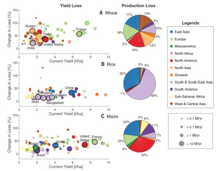 Increase in crop losses to insect pests in a warming climate ...
