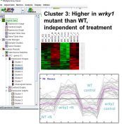 New Teaching Tool, “A bioinformatics pipeline for exploring ...