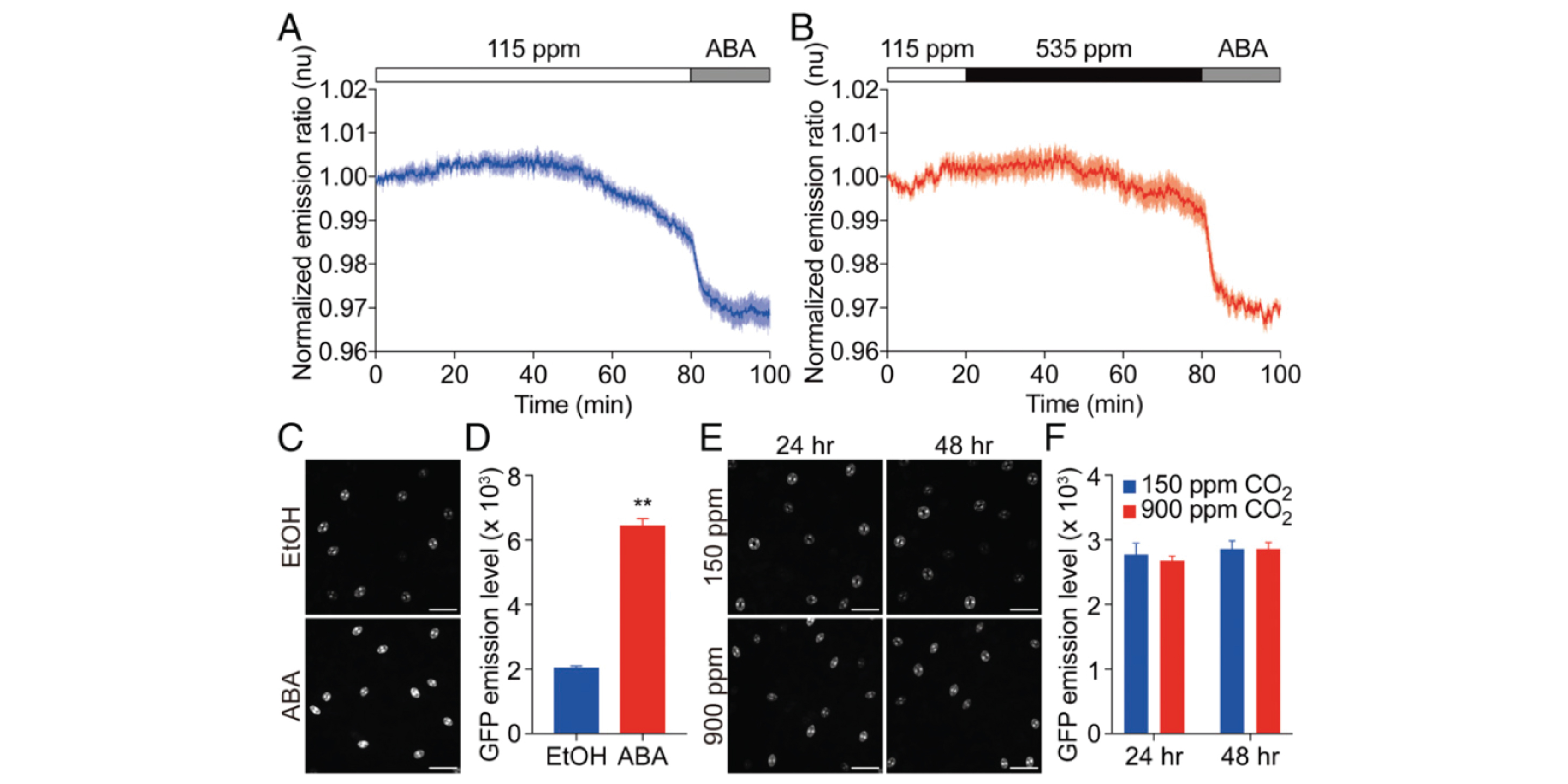 Abscisic acid-independent stomatal CO2 signal transduction pathway and ...