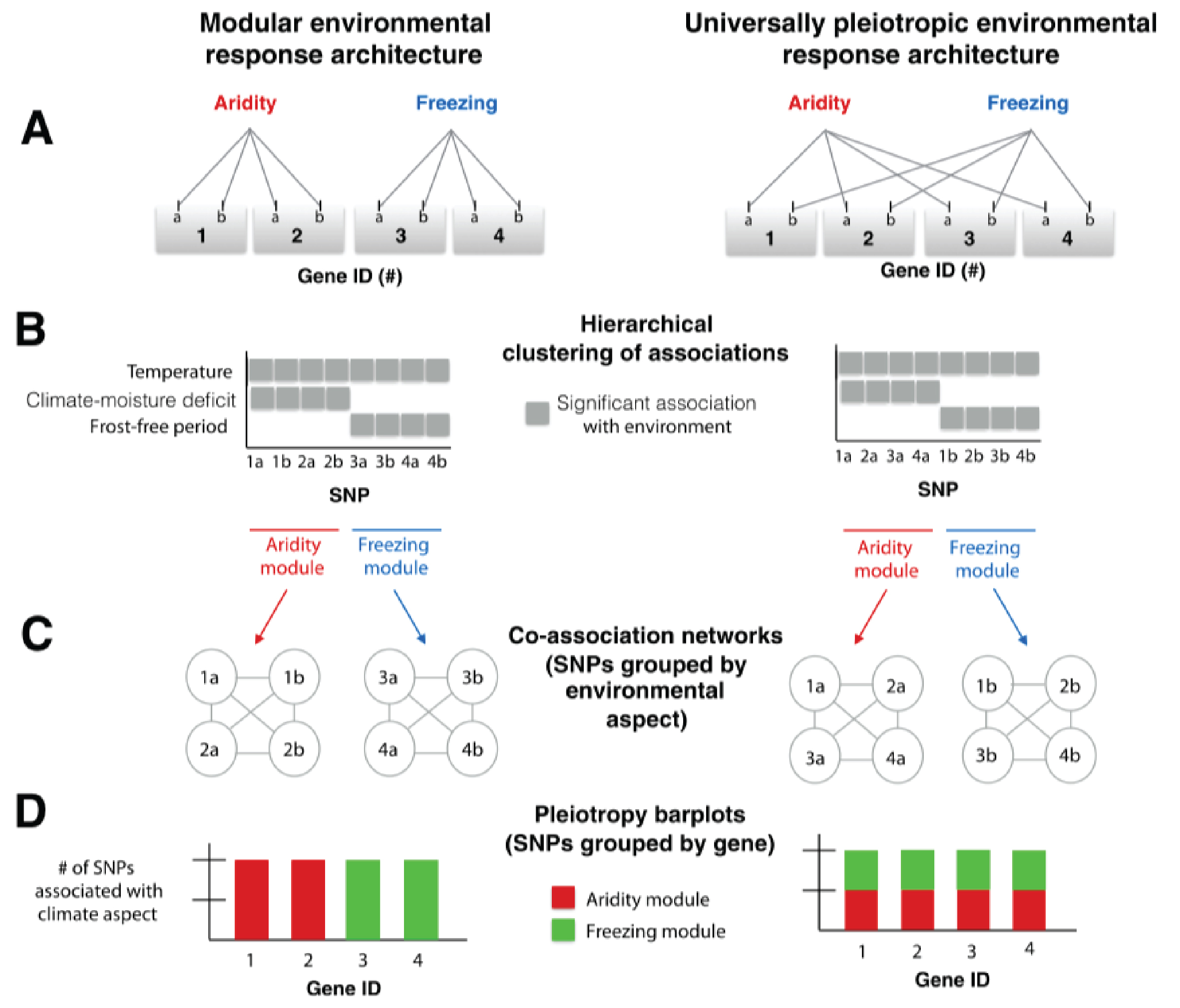 Modularity of genes involved in local adaptation to climate despite ...