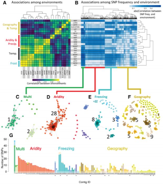 Modularity of genes involved in local adaptation to climate despite ...