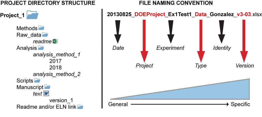 Experimental Reproducibility 101 (Part 1) | Plantae Experimental Reproducibility 101 (Part 1) | Plantae