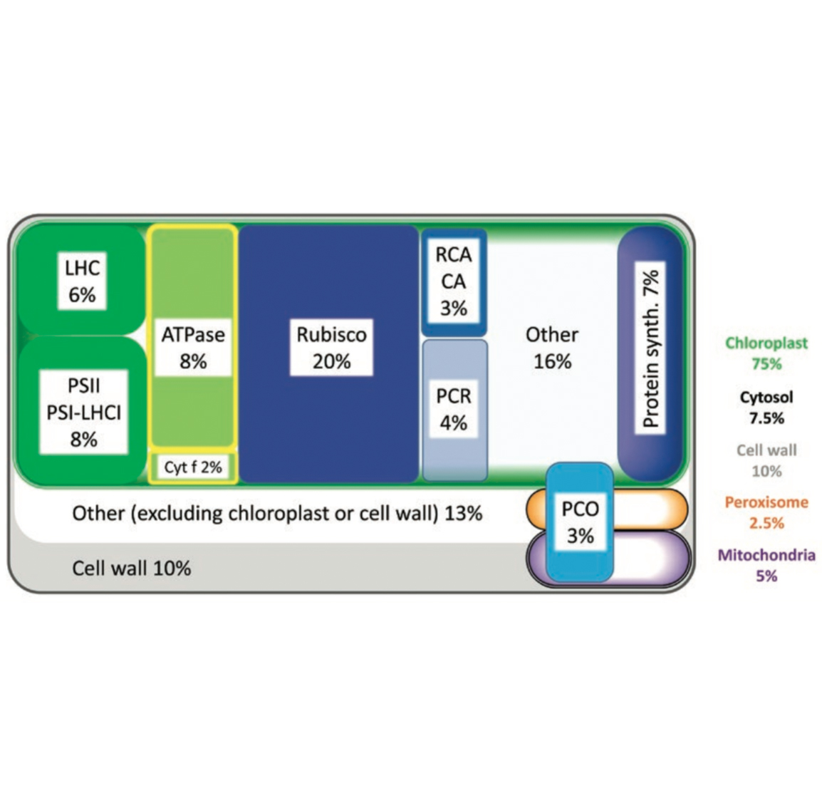 Expert View: The nitrogen cost of photosynthesis (J Exp Bot) | Plantae