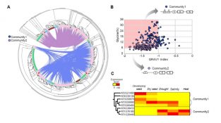 Genomic diversification of LATE EMBRYOGENESIS ABUNDANT (LEA) protein ...