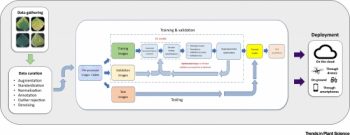 Review: Deep learning on image-based plant phenotyping (Trends Plant ...