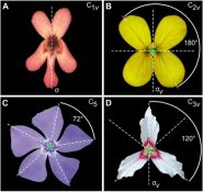 A step-by-step guide for geometric morphometrics of floral symmetry ...