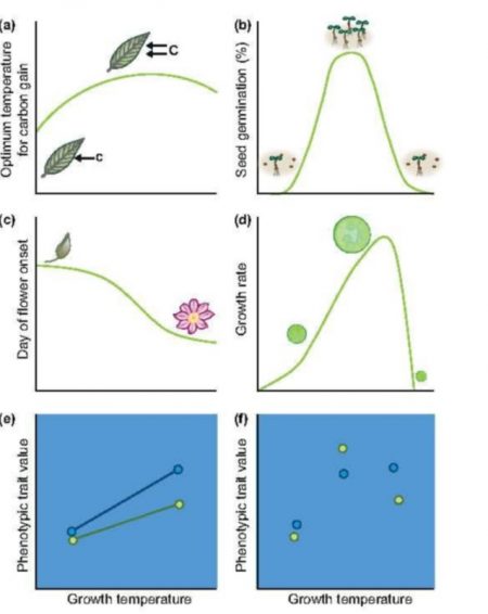 Review: How to analyse plant phenotypic plasticity in response to a ...
