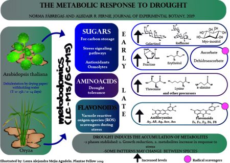 Plant Science Research Weekly: March 1 | Plantae