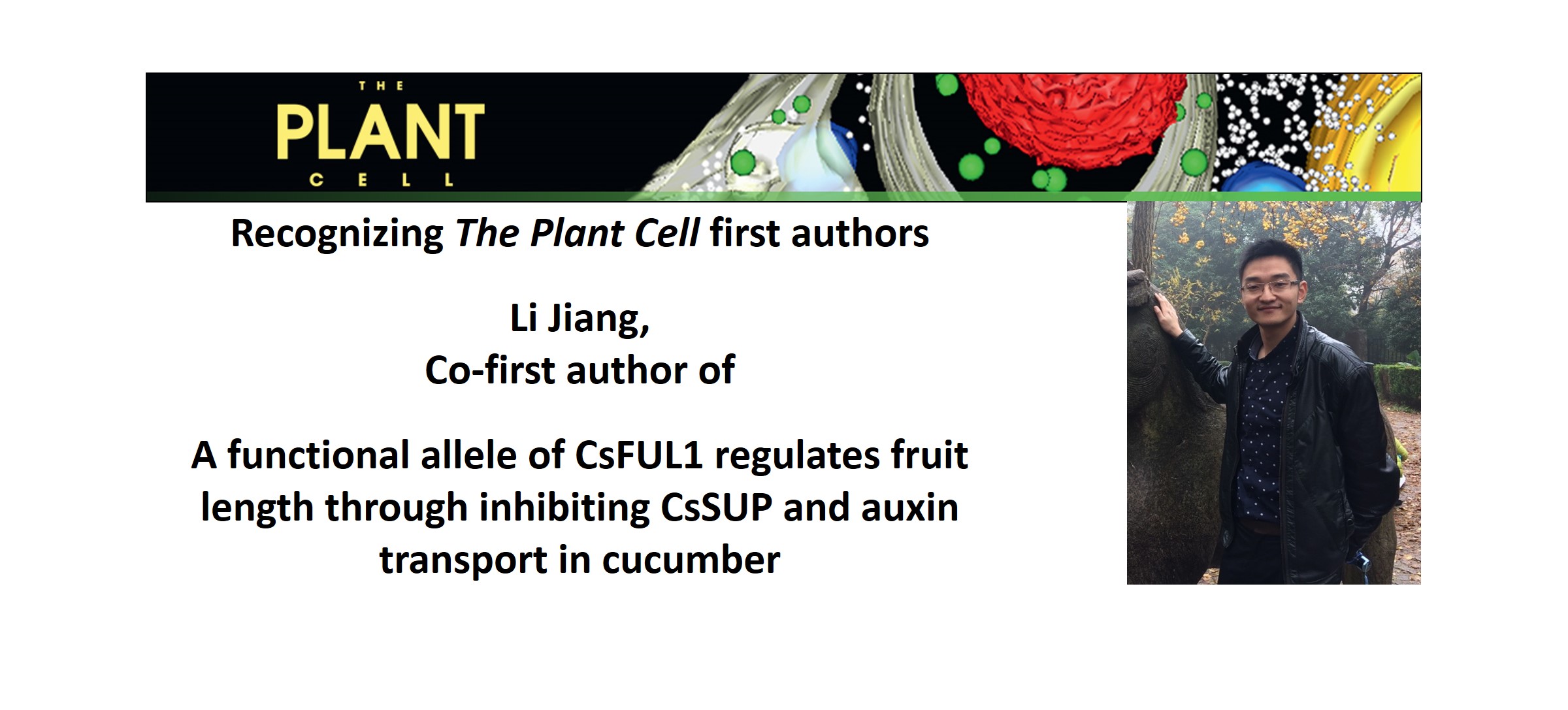 Recognizing The Plant Cell first authors: Li Jiang | Plantae