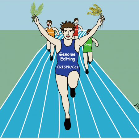 Speed breeding is a powerful tool to accelerate crop research and ...