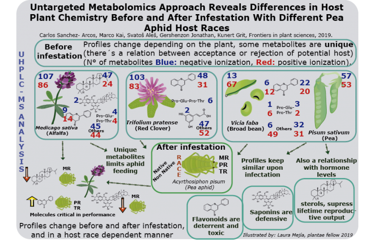 Untargeted metabolomics reveals host plant chemistry before and after pea aphid infestatation ...