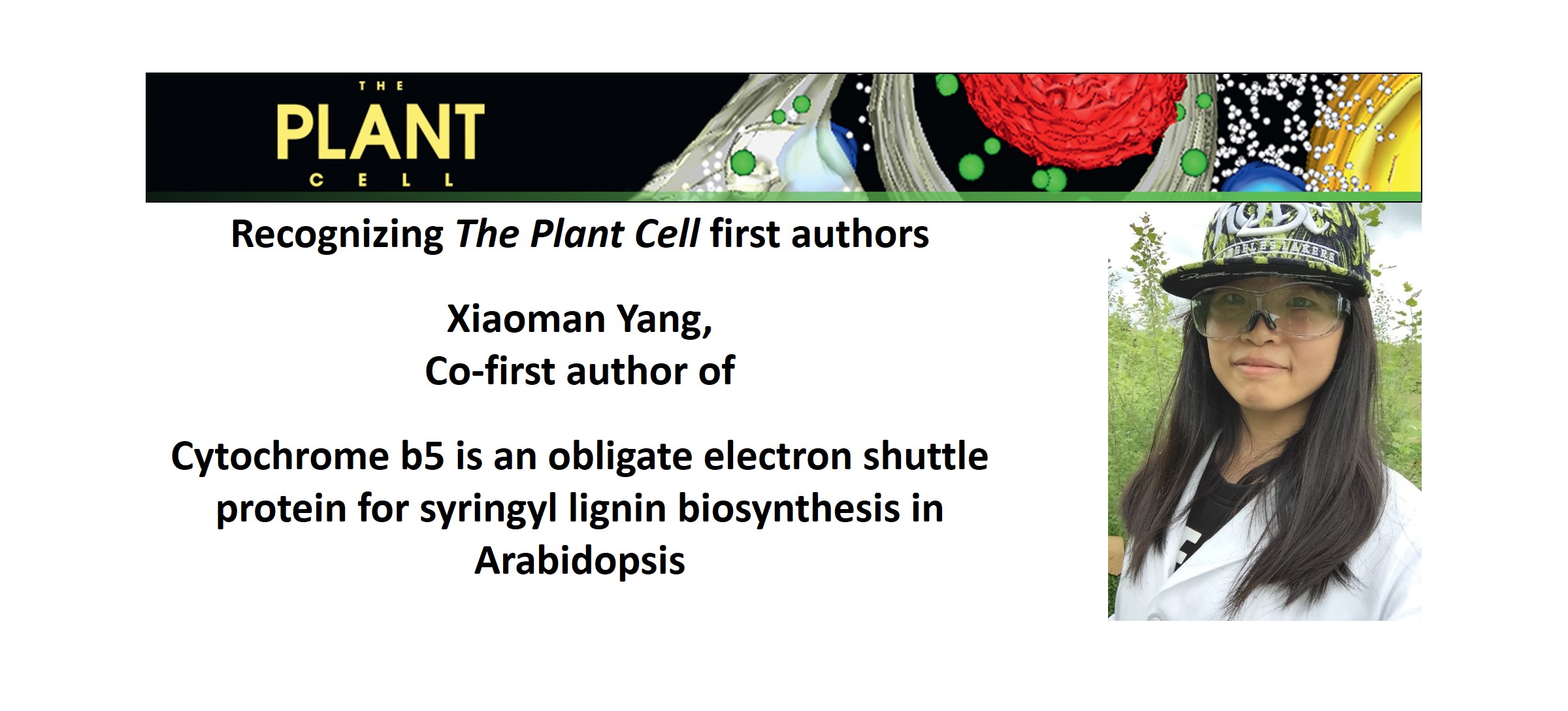 Recognizing The Plant Cell authors: Xiaoman Yang | Plantae