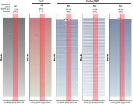 Plantae | Linking CRISPR-Cas9 interference in cassava to the evolution ...
