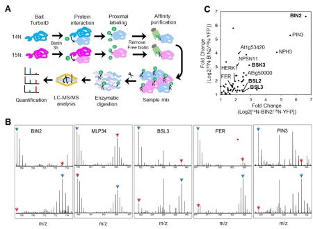 Plant Science Research Weekly: May 31st | Plantae