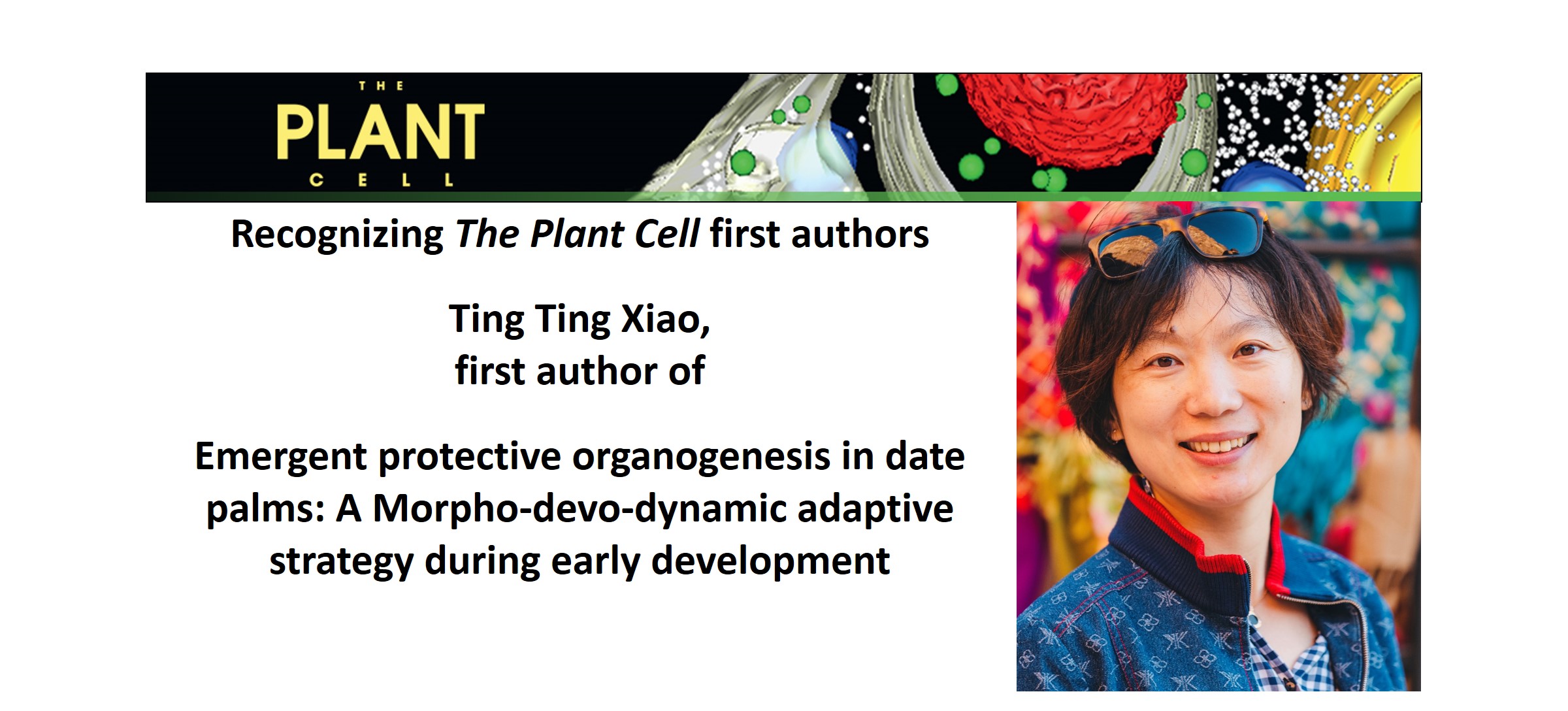 Recognizing Plant Cell first authors: Ting Ting Xiao | Plantae