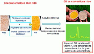 Plant Science Research Weekly: July 26th | Plantae