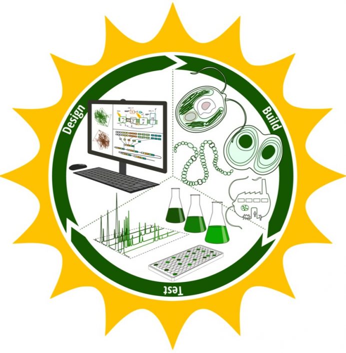 Review: Synthetic biology in photosynthetic microbes: present and ...