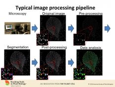 New Teaching Tool “Computational Image Processing in Microscopy” | Plantae