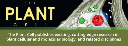 Plantae | The digital ecosystem for plant science