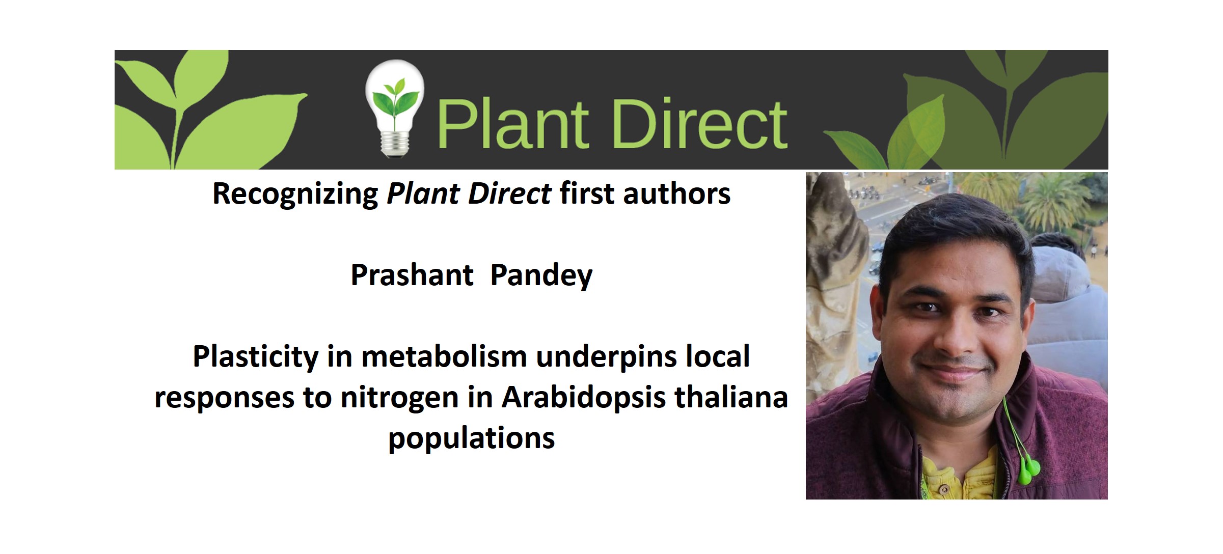 Recognizing Plant Direct authors: Prashant Pandey | Plantae