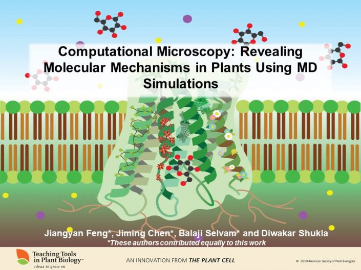 New Teaching Tool, “Computational Microscopy: Revealing Molecular ...