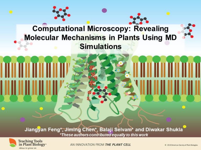 New Teaching Tool, “Computational Microscopy: Revealing Molecular ...