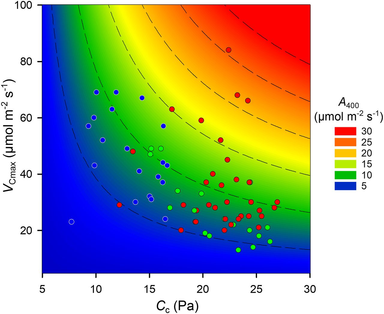 Co2 And O2 As Drivers Of Plant Macroevolution Plantae