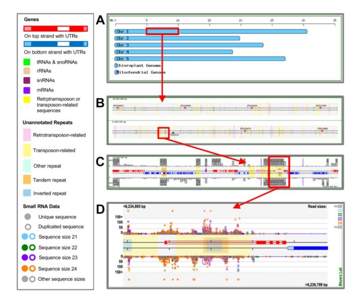 Next-Gen sequence databases: RNA and genomic informatics resources for plants (Plant Physiol ...
