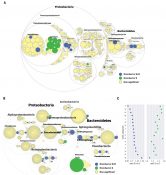 Pathogen-induced activation of disease-suppressive functions in the ...