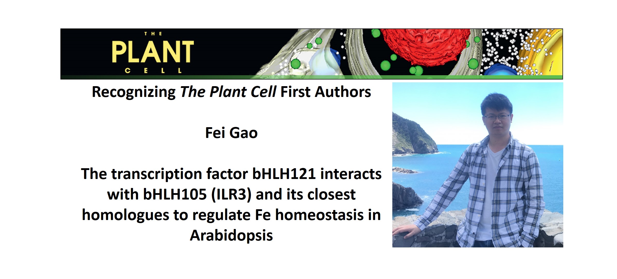 Recognizing Plant Cell authors: Fei Gao | Plantae
