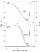 Over-accumulation of abscisic acid in transgenic tomato plants ...