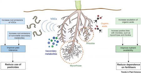 Plant Science Research Weekly: January 3rd | Plantae