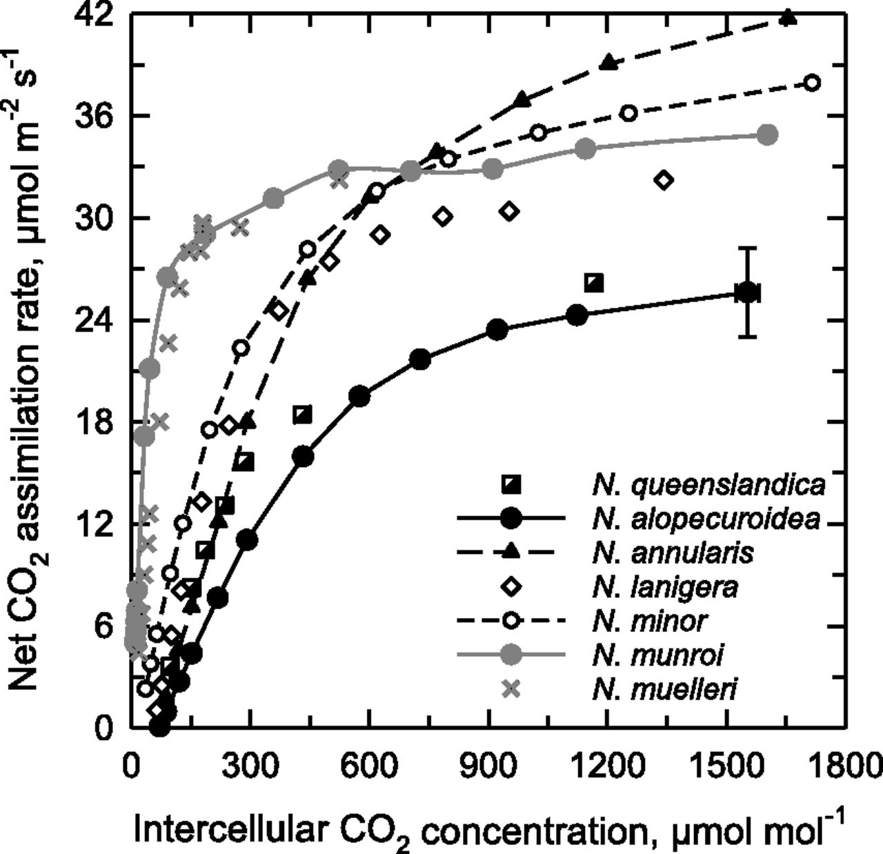 Insights into the Evolution of C4 Photosynthesis in the Grasses | Plantae