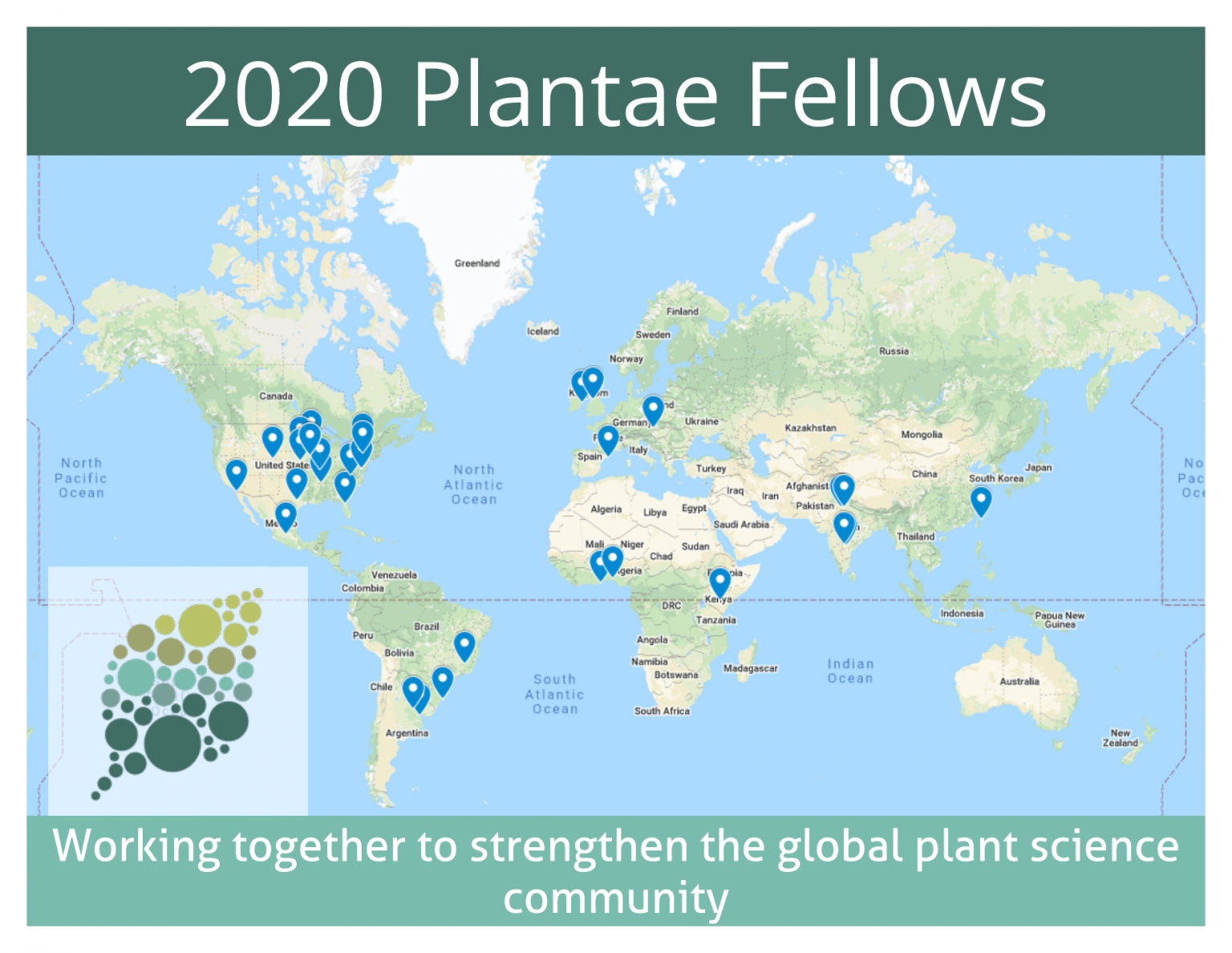 Announcing our 2020 Class of Plantae Fellows | Plantae