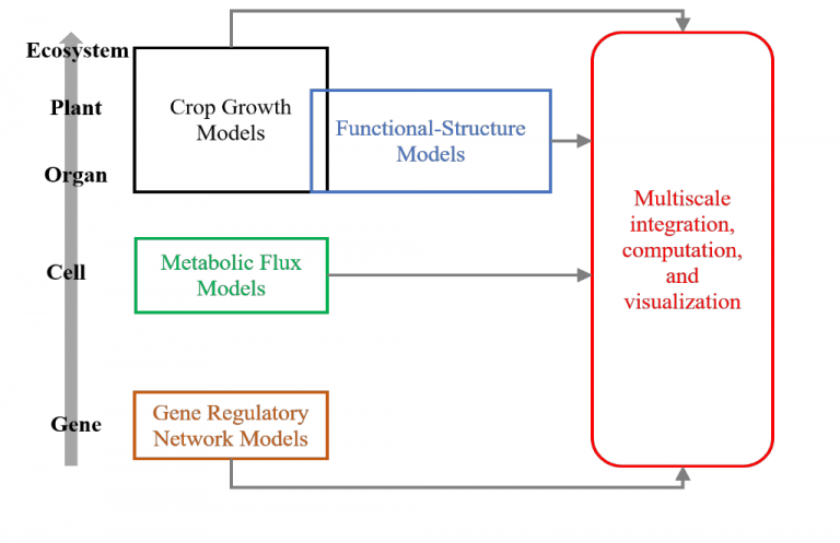 Plant Science Research Weekly: March 20 | Plantae