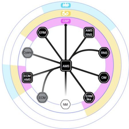 Plantae | Nitrate–NRT1.1B–SPX4 cascade integrates N and P signaling ...