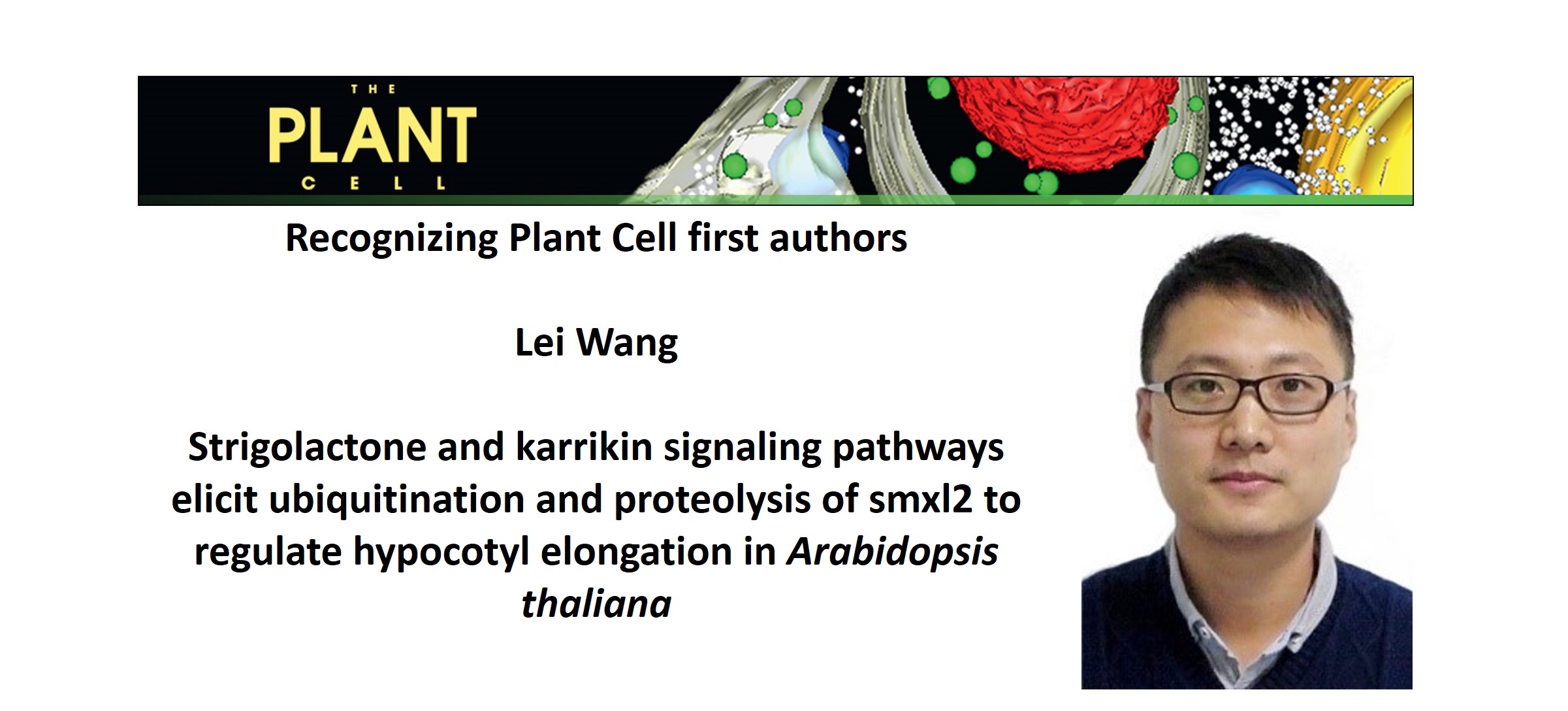 Recognizing Plant Cell authors: Lei Wang | Plantae